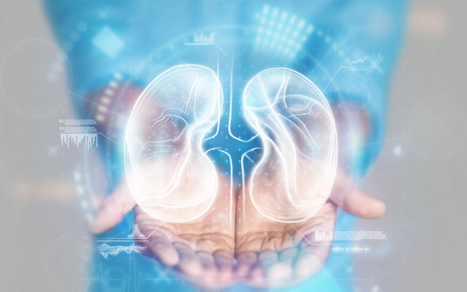 Urolit Londrina | Excelência em Cuidado e Saúde